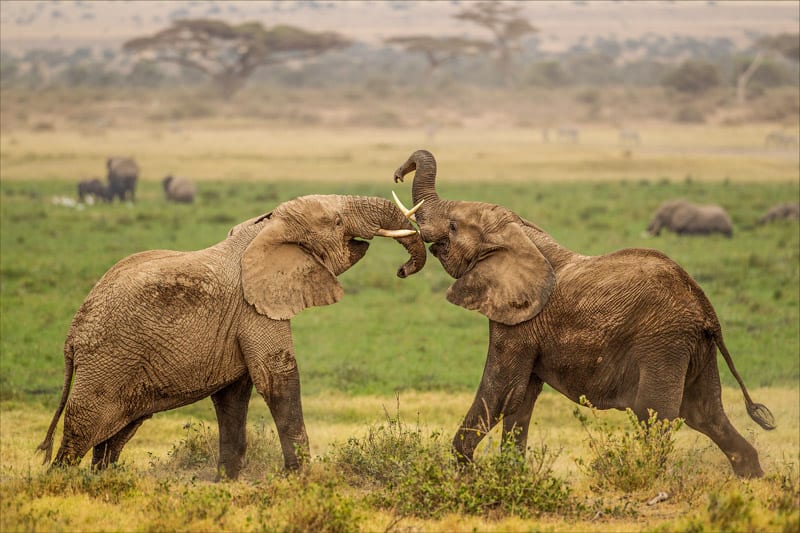 Gallery – Tri Logistics