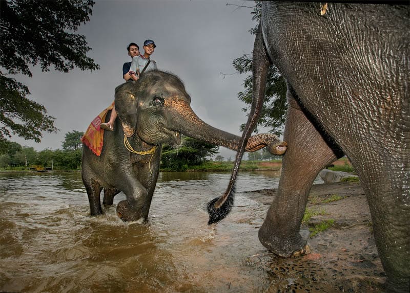 Gallery Tri Logistics