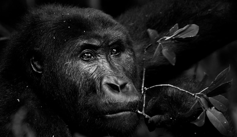 Gallery – Tri Logistics