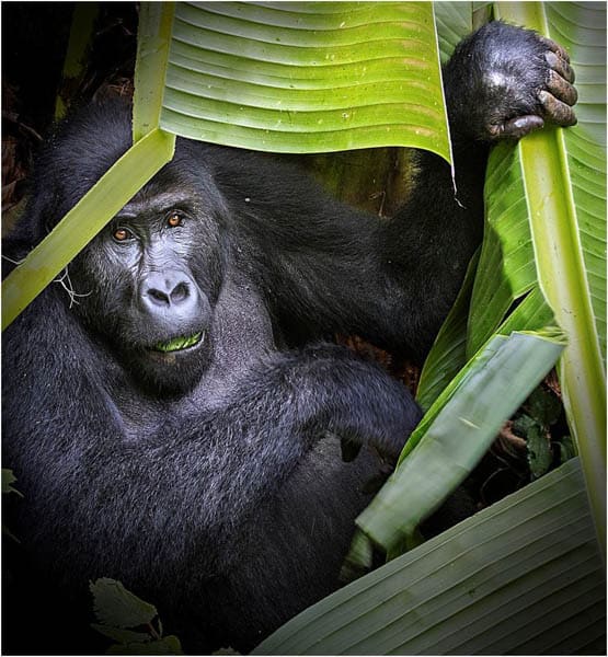 Gallery – Tri Logistics