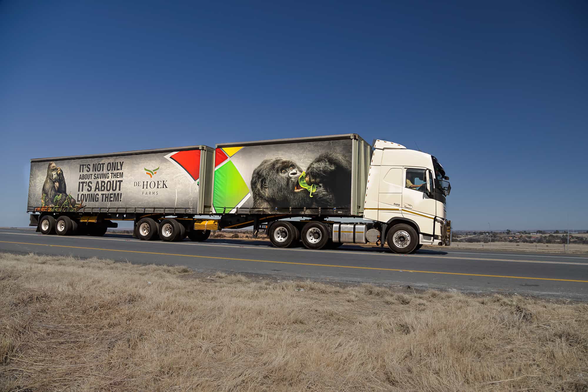 Gallery – Tri Logistics